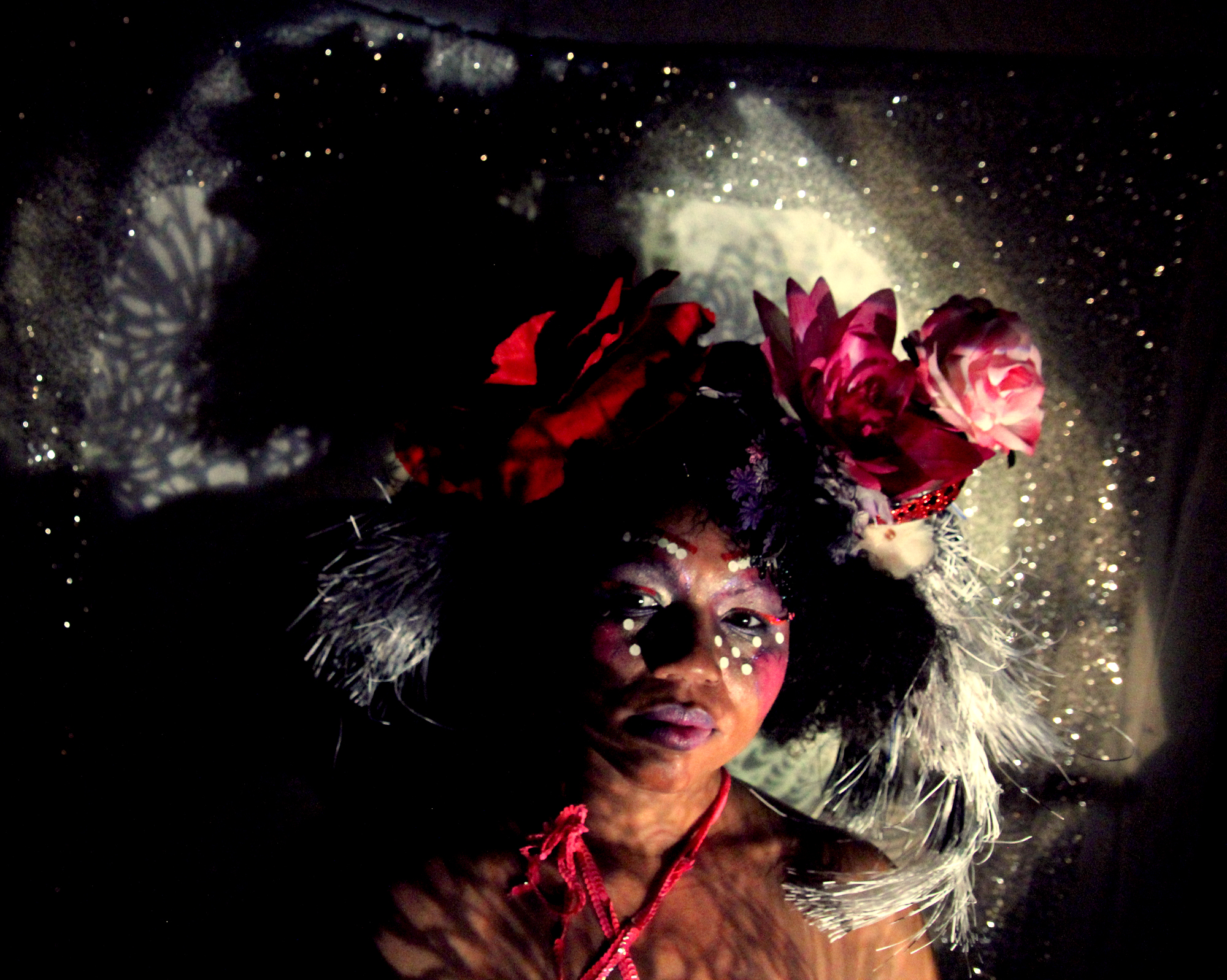 Gallery – Ari Swan