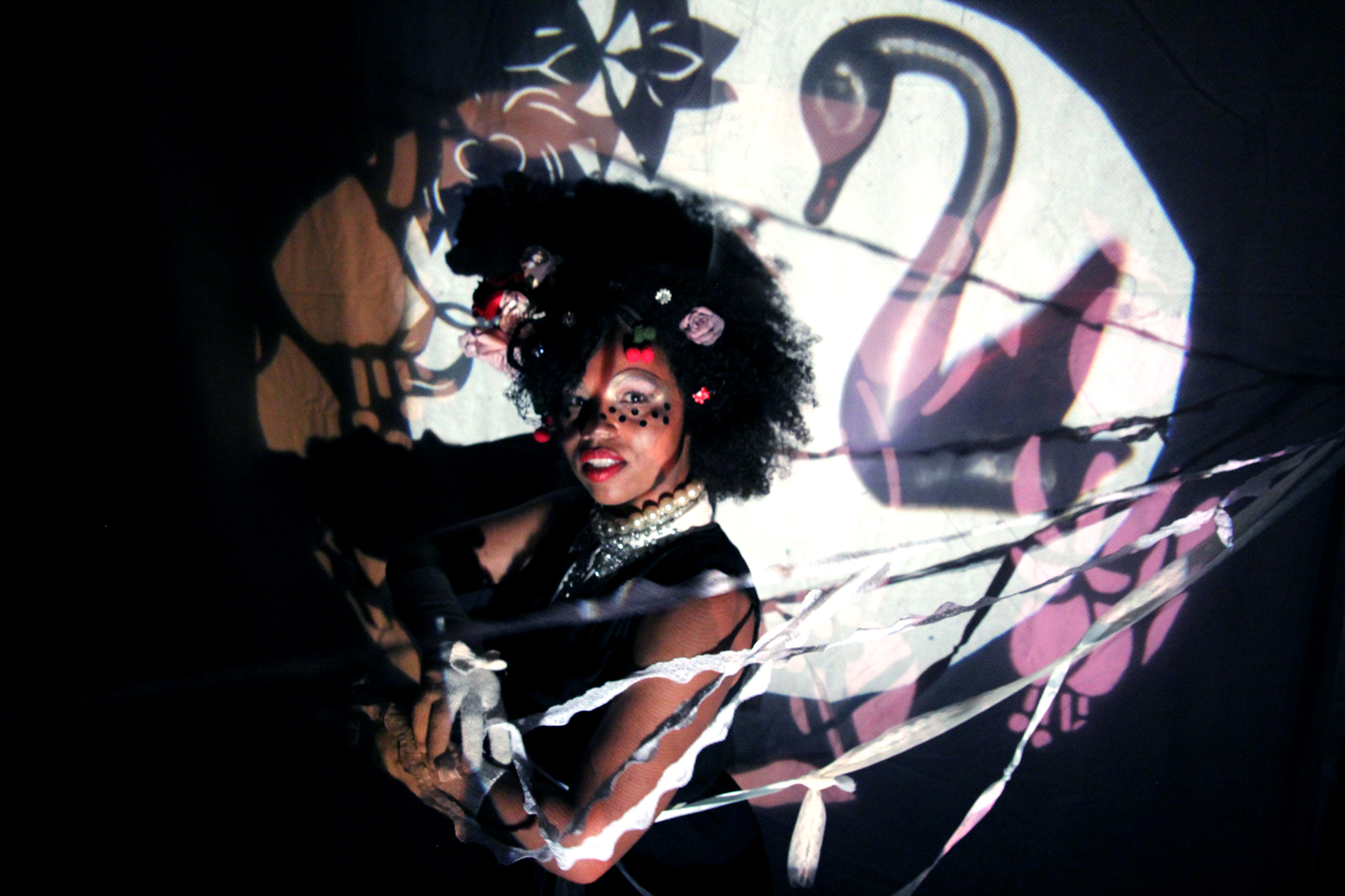 Gallery – Ari Swan